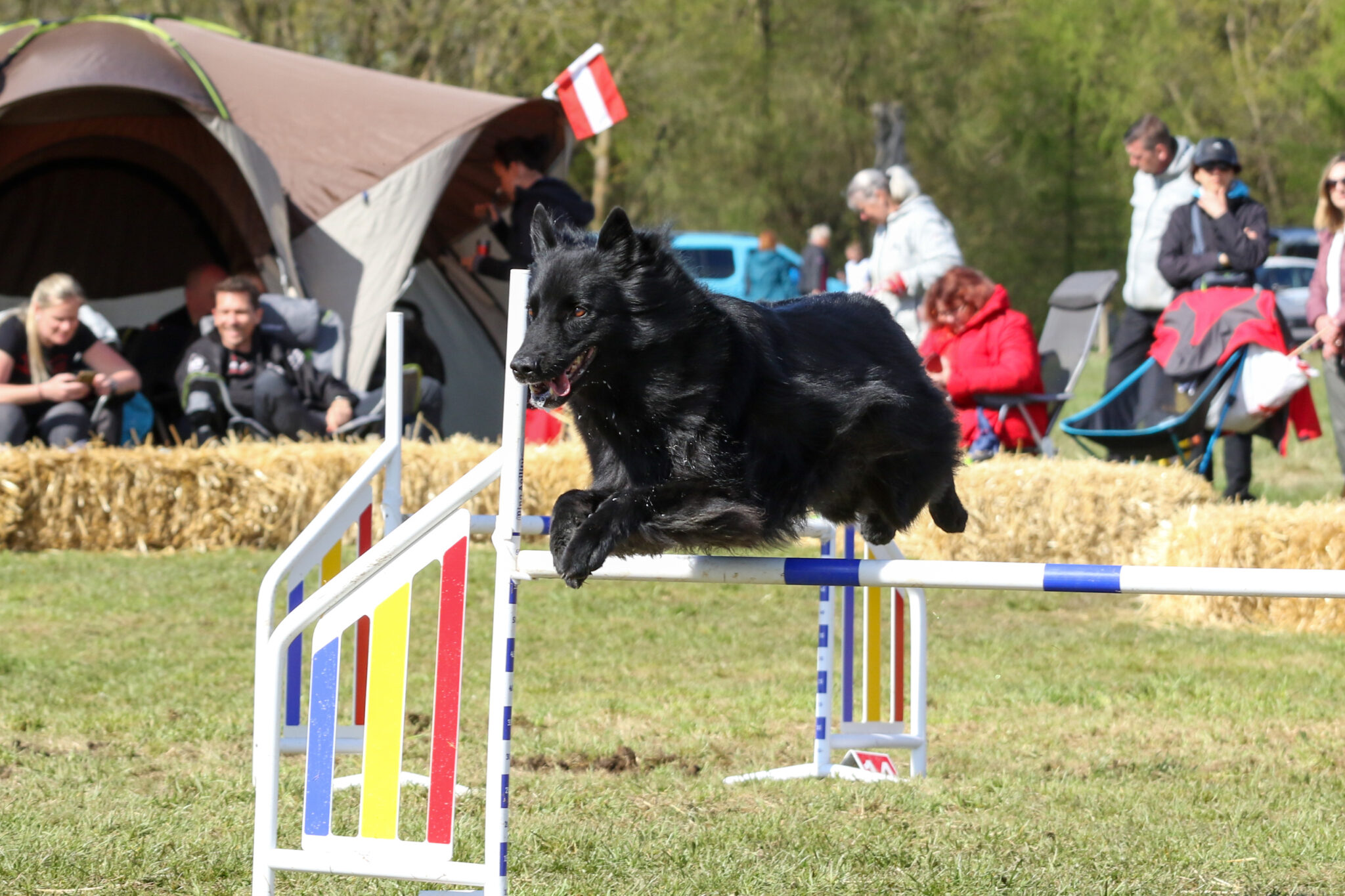 FMBB 2023 – Terra-Luna